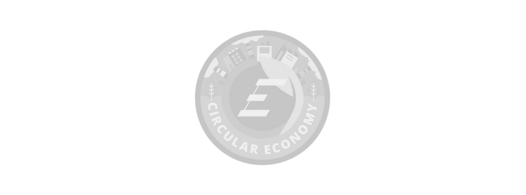 ESTIEM – European Students of IEM